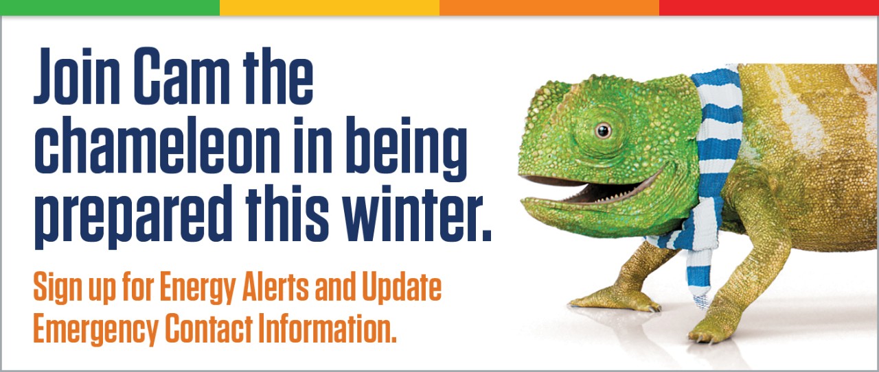 Let's Prepare! (Winter Preparedness & Safety)